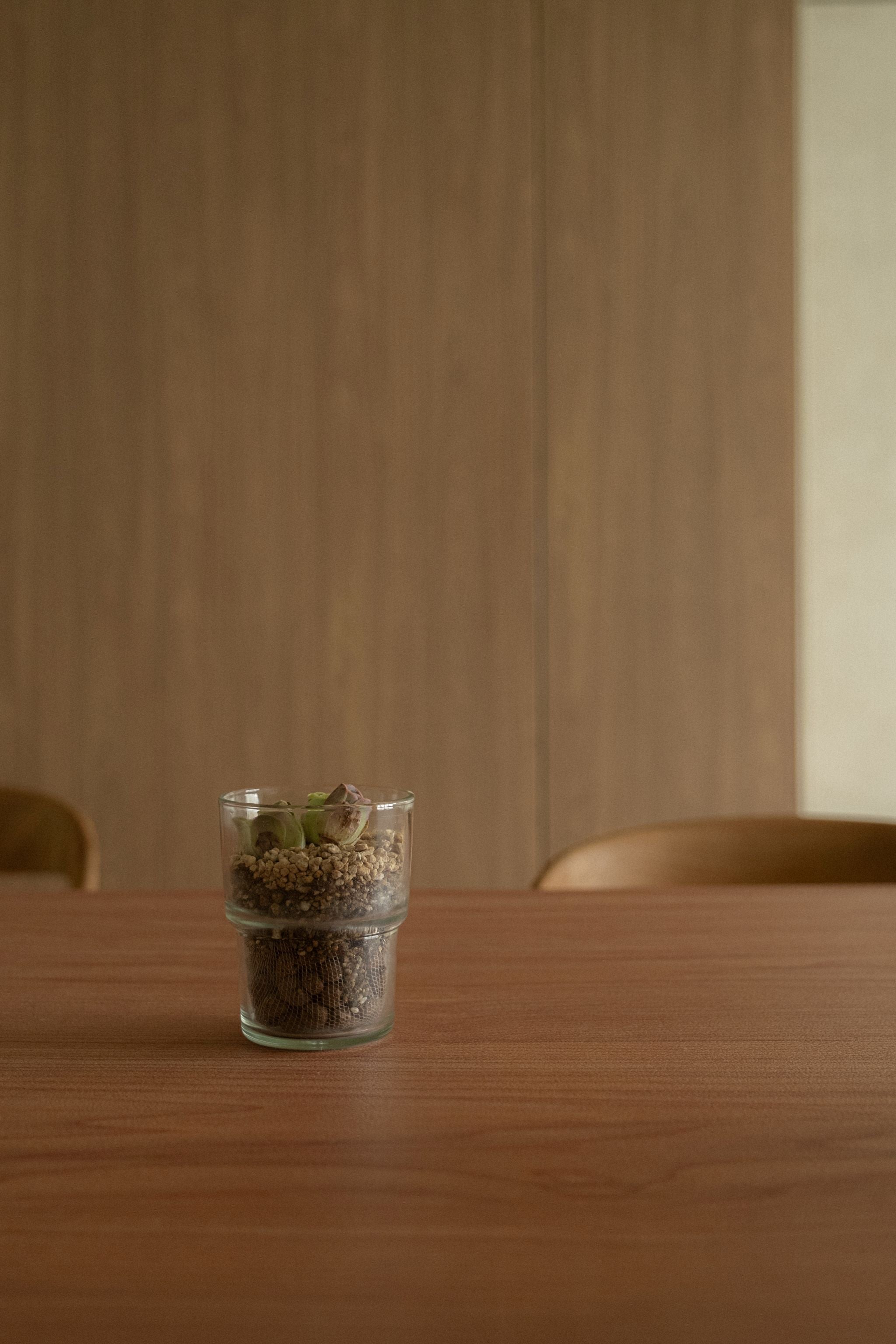 Earth Essence Collection – NINE.N